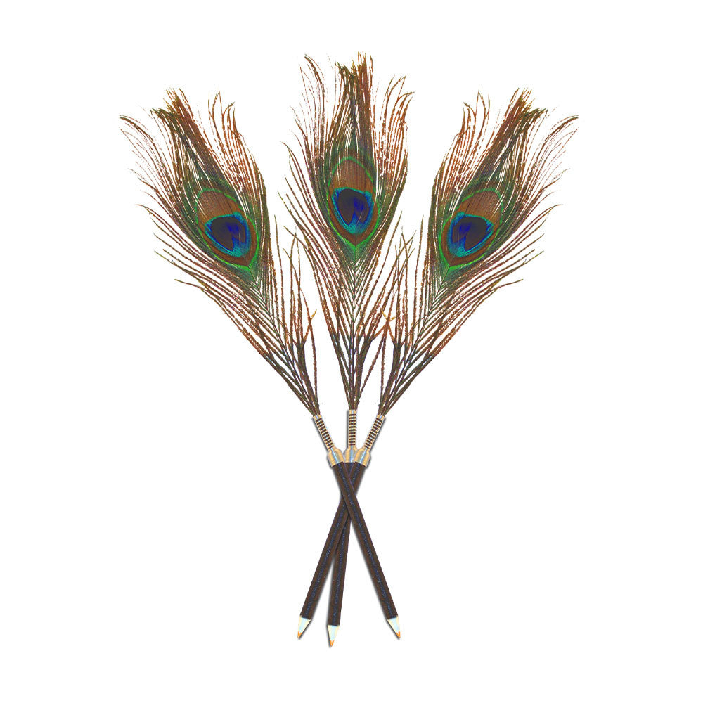 Peacock Feather Quills - Peacock Pen – TimeLine Gifts